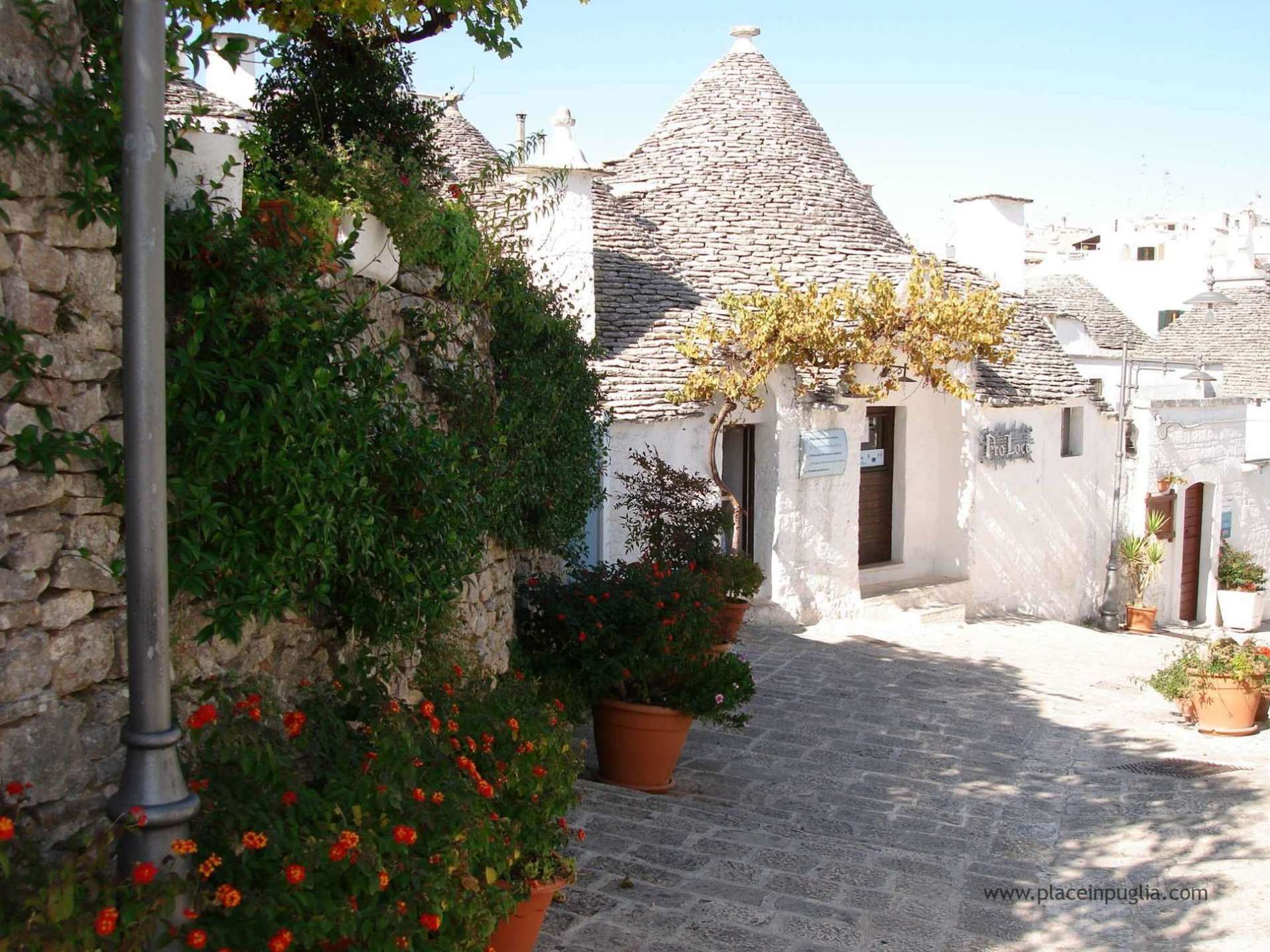 Alberobello - Place in Puglia